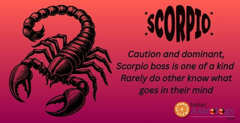 Scorpio Boss